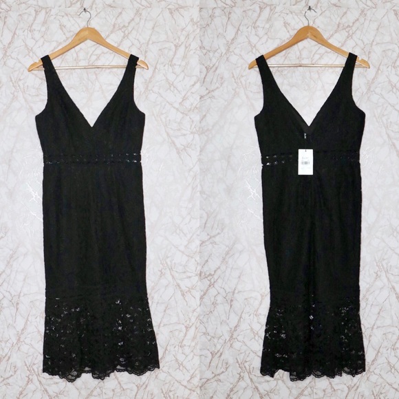 Bardot | Dresses | Bardot Fiona Trumpethem Sheath Lace Midi Dress ...